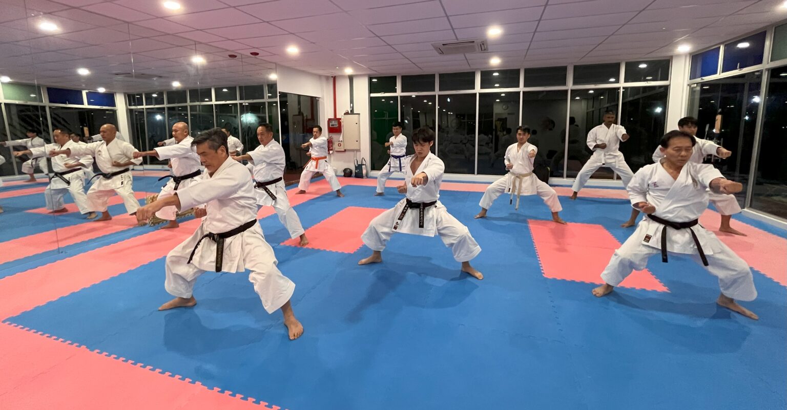 Adults Karate Class | Self Defence | Any Age | The Karate Academy